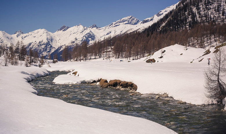 Understanding Homotoxicology – United Remedies