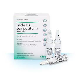 Lachesis Compositum - Ampoules – United Remedies